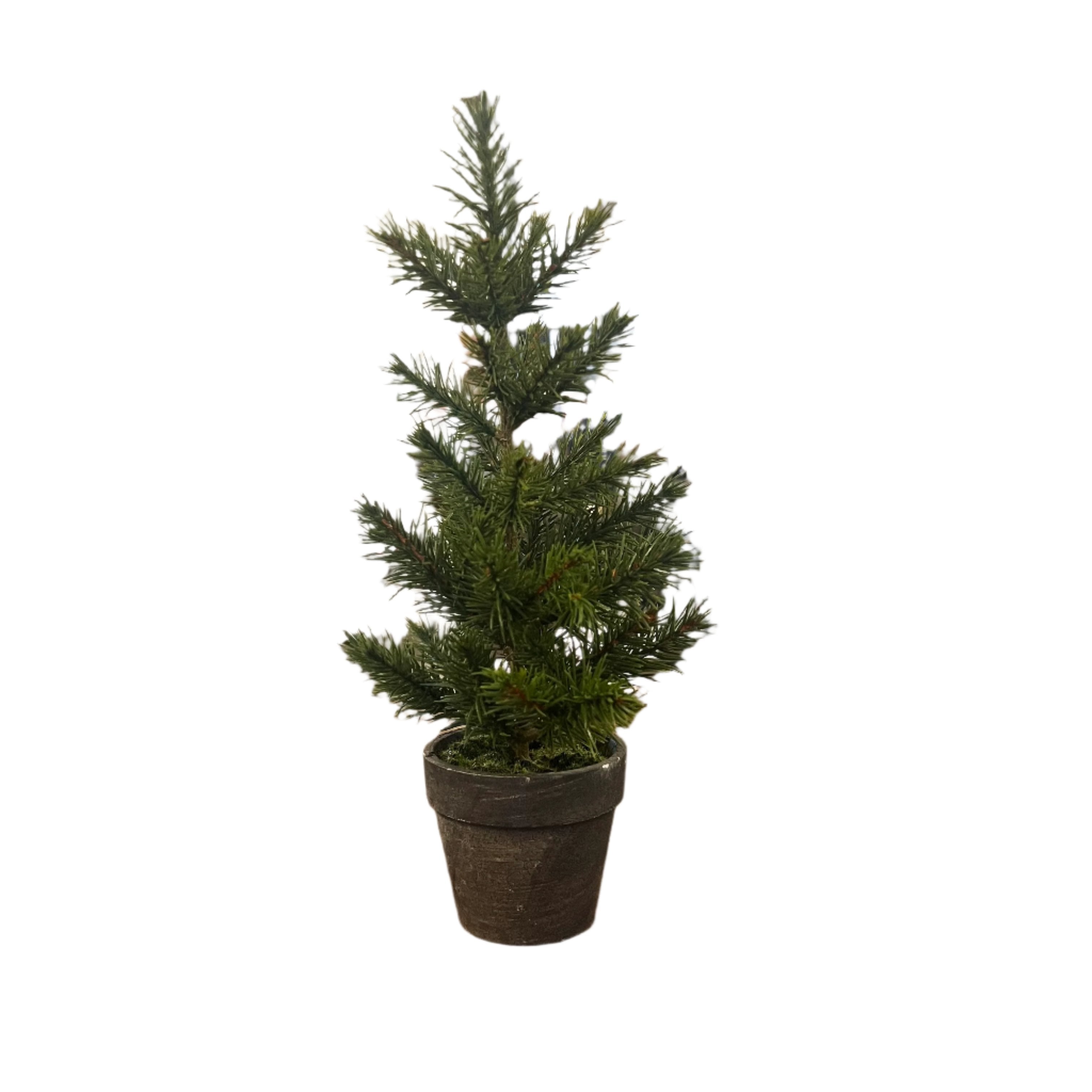 Assorted Miniature Potted Faux Pine Tree – BHN
