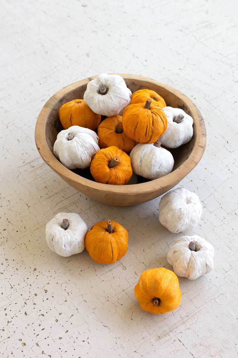 Miniature Pumpkins – BHN